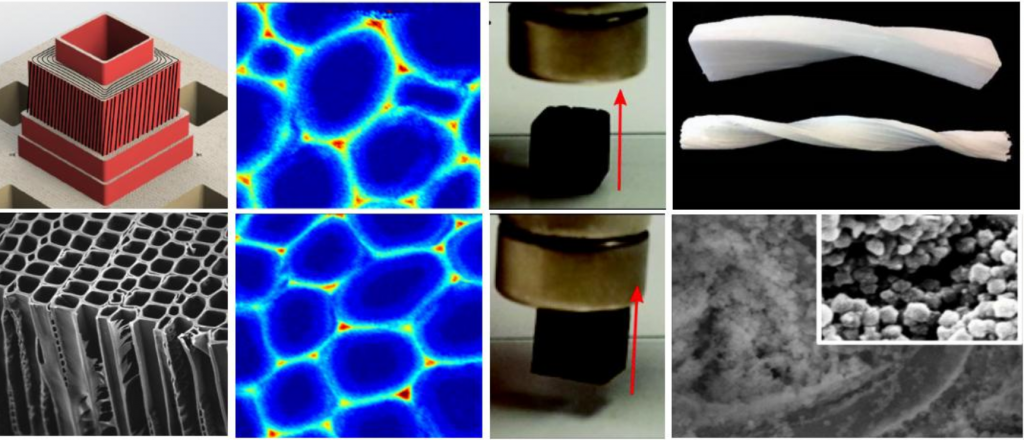 Timber and wood architecture, engineering, materials science – Annular